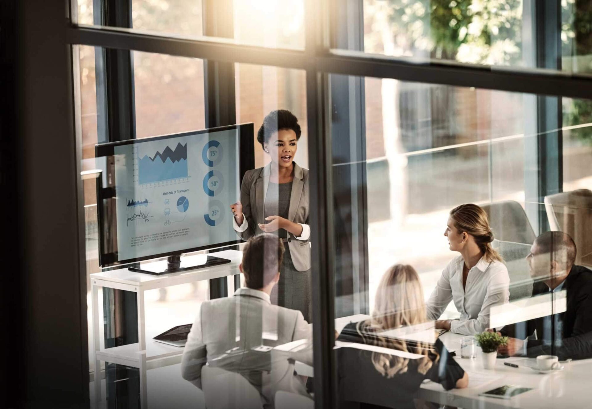 Tax & Licensing Software for Governments | Neumo